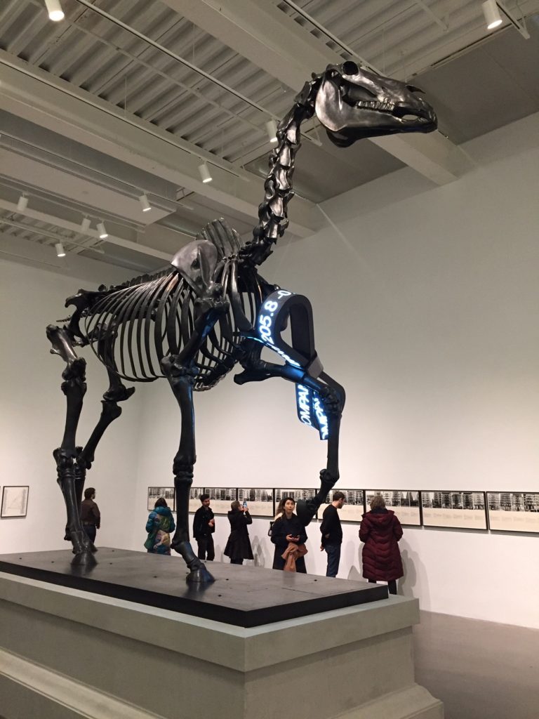 New Museum Art and Sculpture Exhibitions - SGH